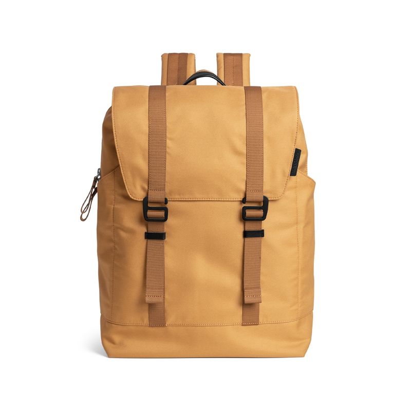 Buy DailyObjects Amber Taiga Backpack Online
