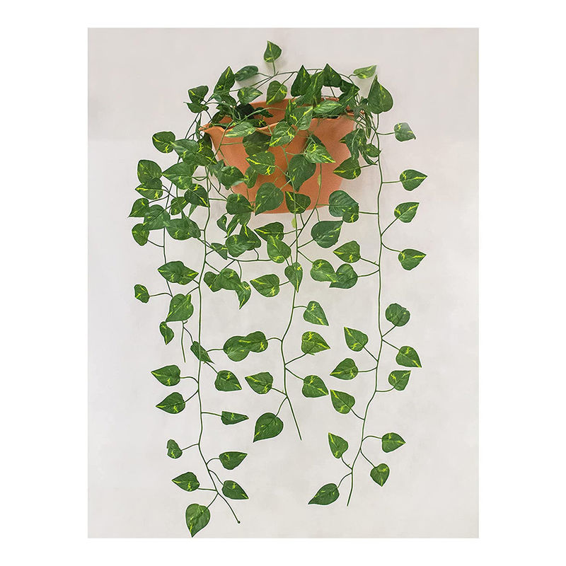 PolliNation Artificial Creepers (Pack of 3 Strings) - Sea Green: Buy ...