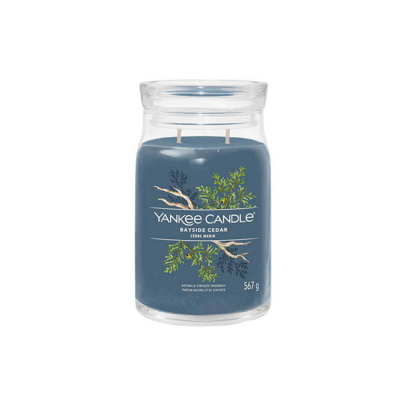 Buy Yankee Candle Bayside Cedar Scented Jar Candle Online