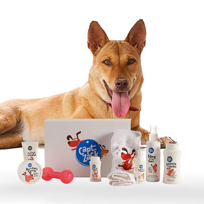 Captain Zack The German Shepherd Groom Box – Ultimate 8-in-1, Head-to ...