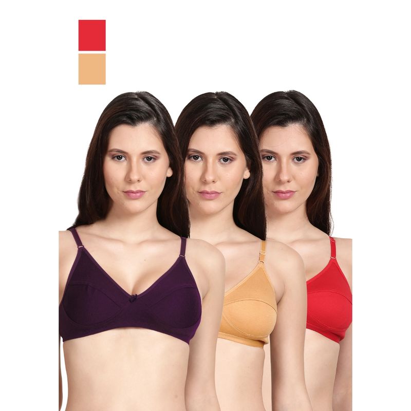 Buy Shyaway Shyle Non Padded Seamed Everyday Bra Multicolor (Pack of 3) Online