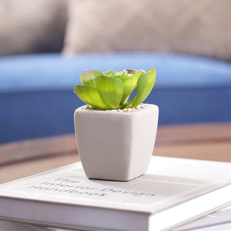 Buy Pure Home + Living Potted Green Cactus (Set of 2) Online
