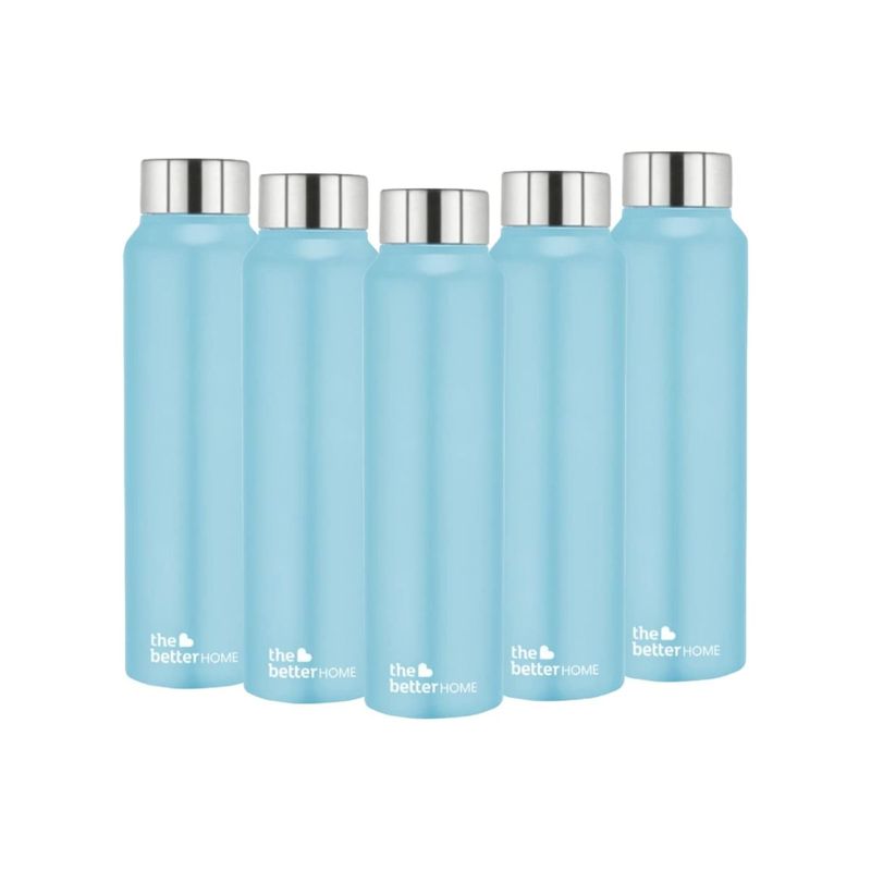 Buy The Better Home Stainless Steel Water Bottle Blue Online