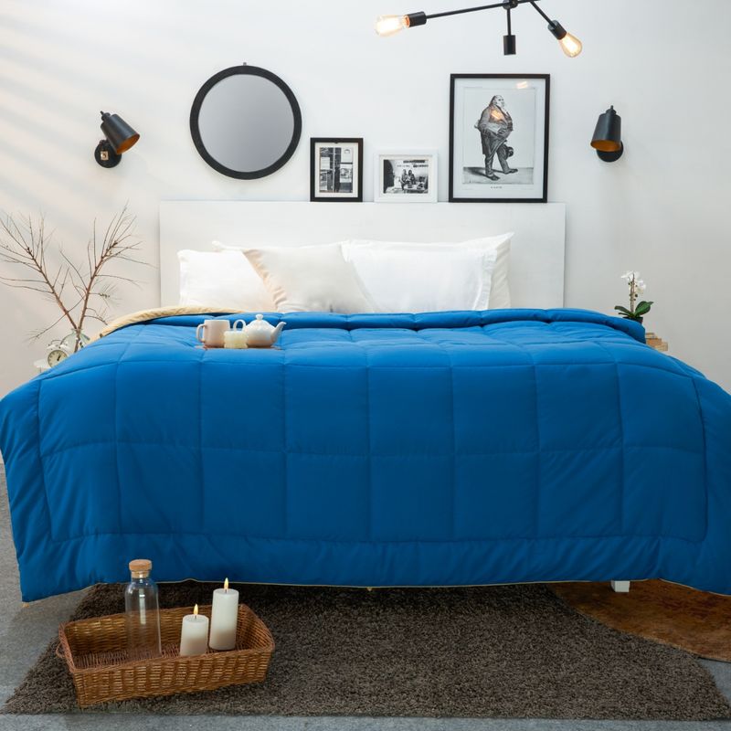 Buy SPACES Silkysoy Microfiber Shell Quilt Single-Navy Blue Online