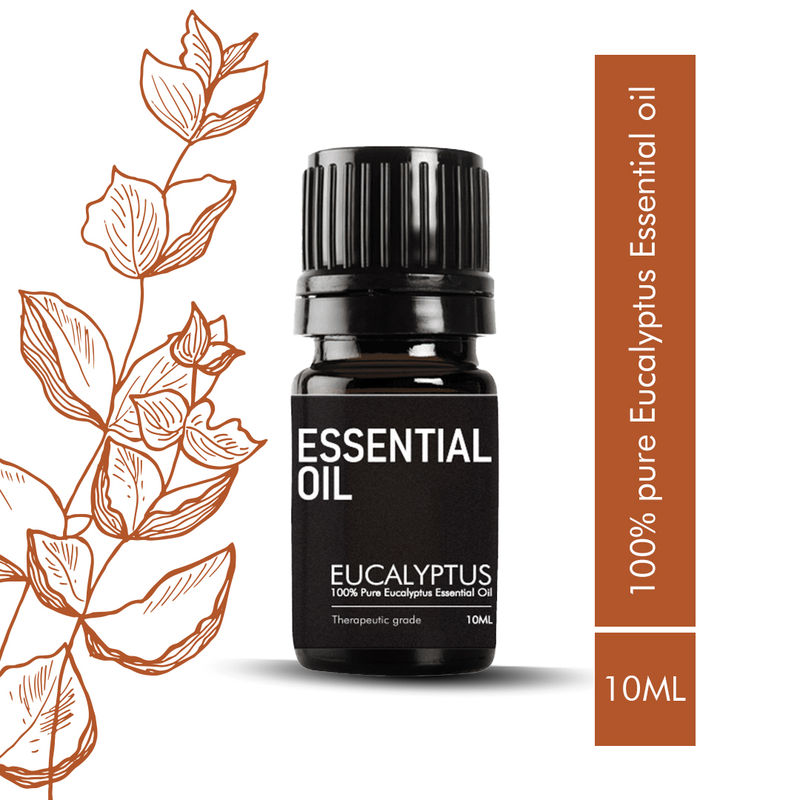 Buy Secret Alchemist Eucalyptus 100% Natural Therapeutic Grade ...